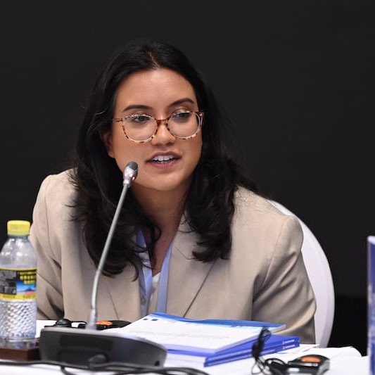 西部金融中心亚洲合作 | 亚洲-中东产融投资助力区域转型增长 - 成都创新金融研究院